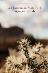 Lost Dutchman State Park Location Guide