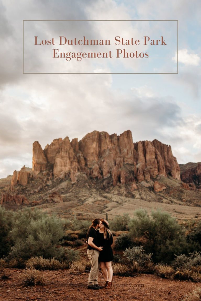 Lost Dutchman State Park Location Guide