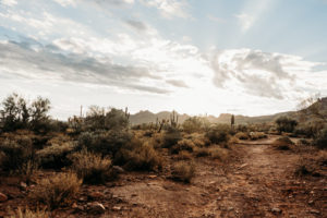 Lost Dutchman State Park Location Guide