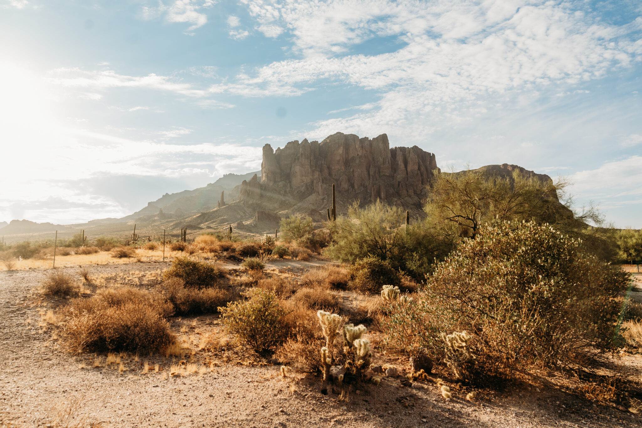 Lost Dutchman State Park Location Guide