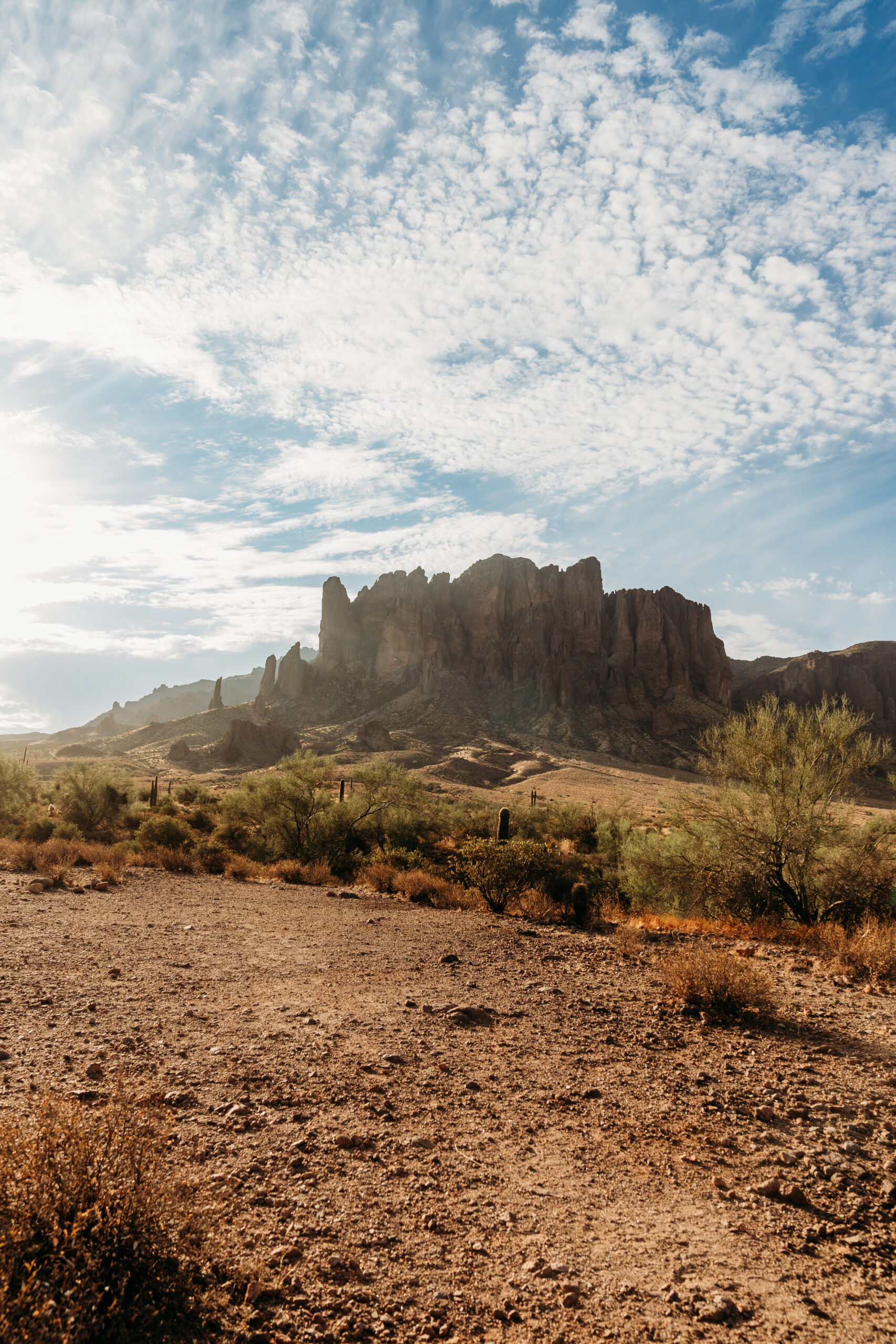 Lost Dutchman State Park Location Guide